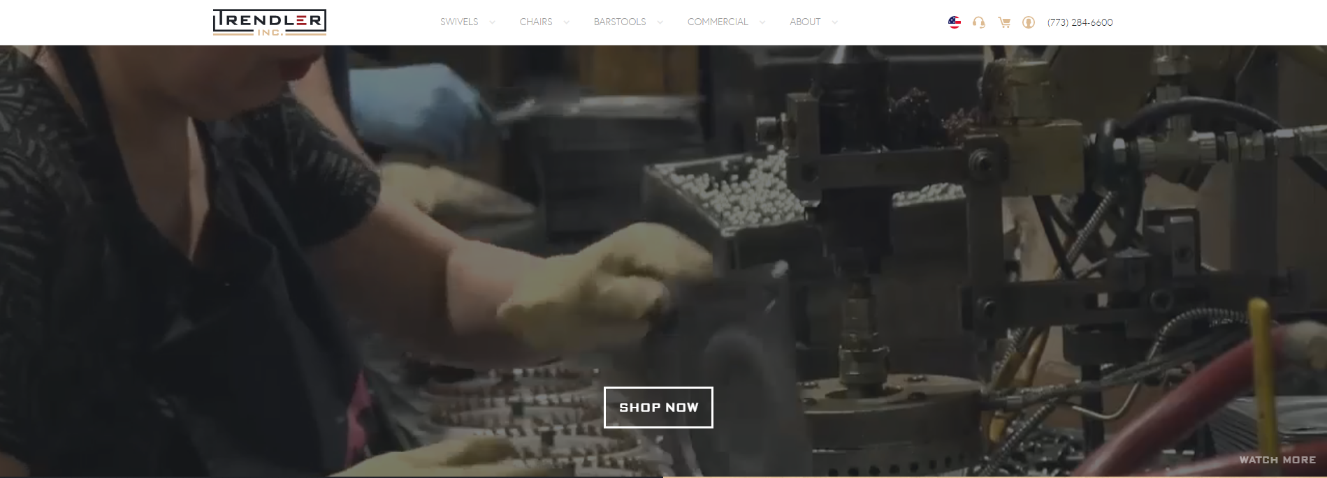 Trendler, Inc – Digital Marketing Case Study